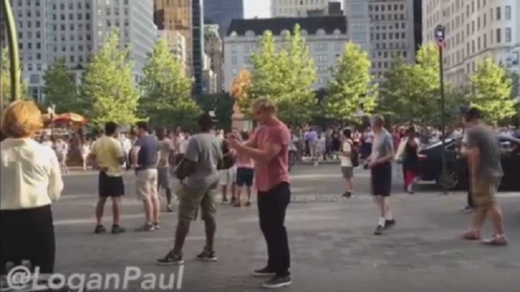 'Troll detected': Esto le pasó al anunciar el hallazgo de un raro ...