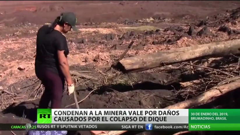 La Minera Vale Deberá Abonar Los Daños Que Causó El Colapso Del Dique