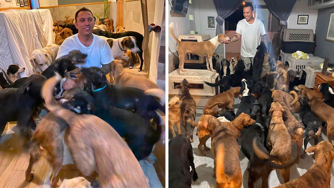 Un mexicano protege a más de 300 animales del huracán Delta y se hace ...