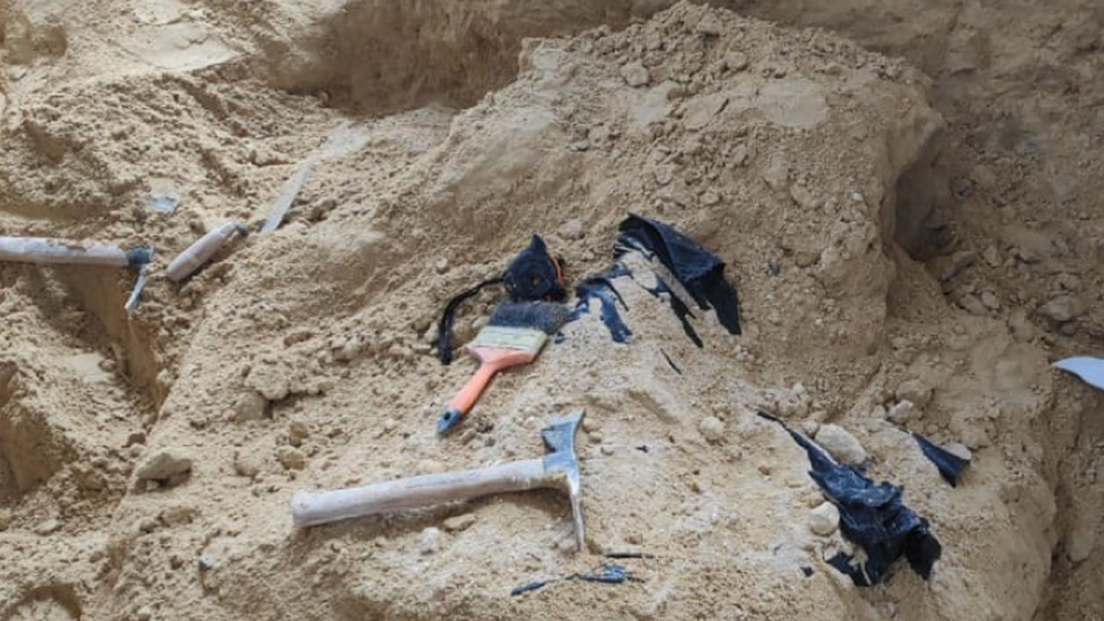 Hallan los restos de un mamut de hace 10.000 años en un cementerio del ...