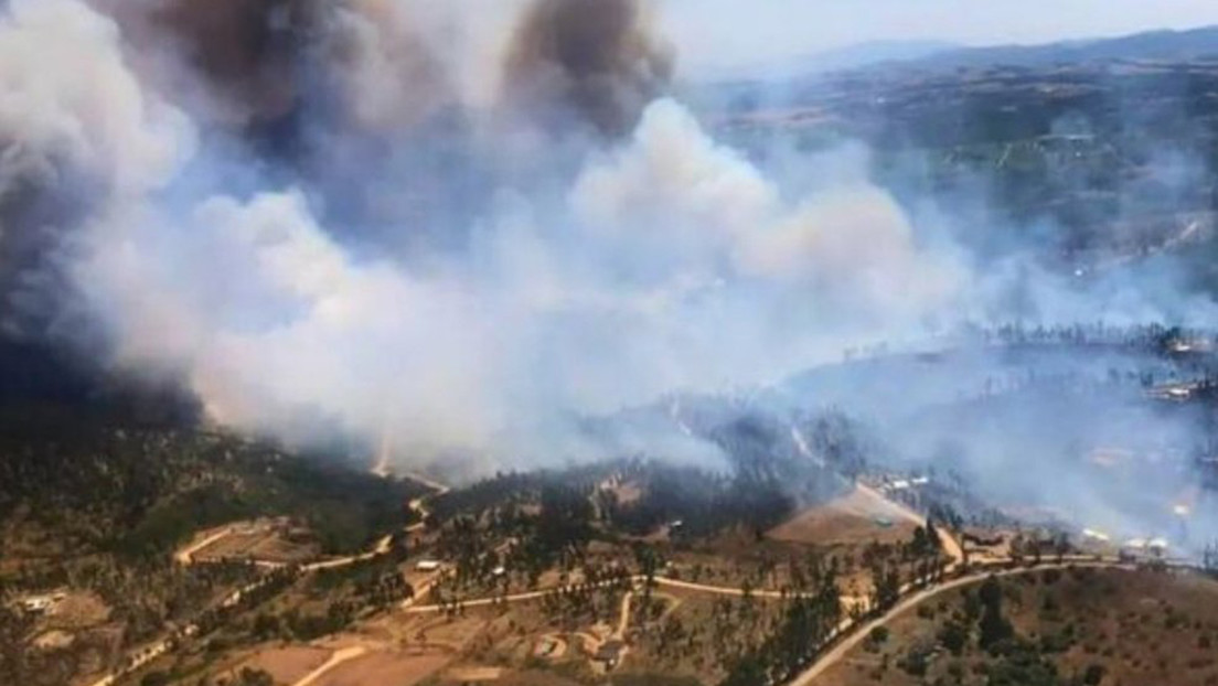 Los Incendios Forestales Y Las Altas Temperaturas Azotan A Chile