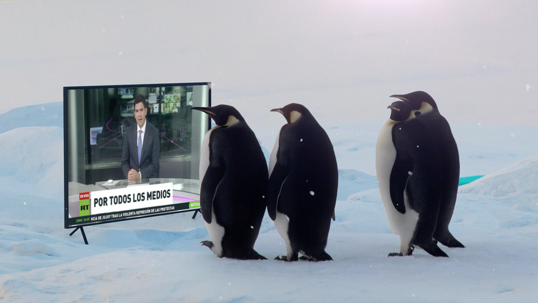 RT comienza sus transmisiones en español e inglés en un nuevo ...