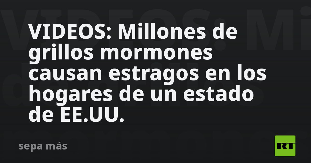 VIDEOS: Millones de grillos mormones causan estragos en los hogares de ...