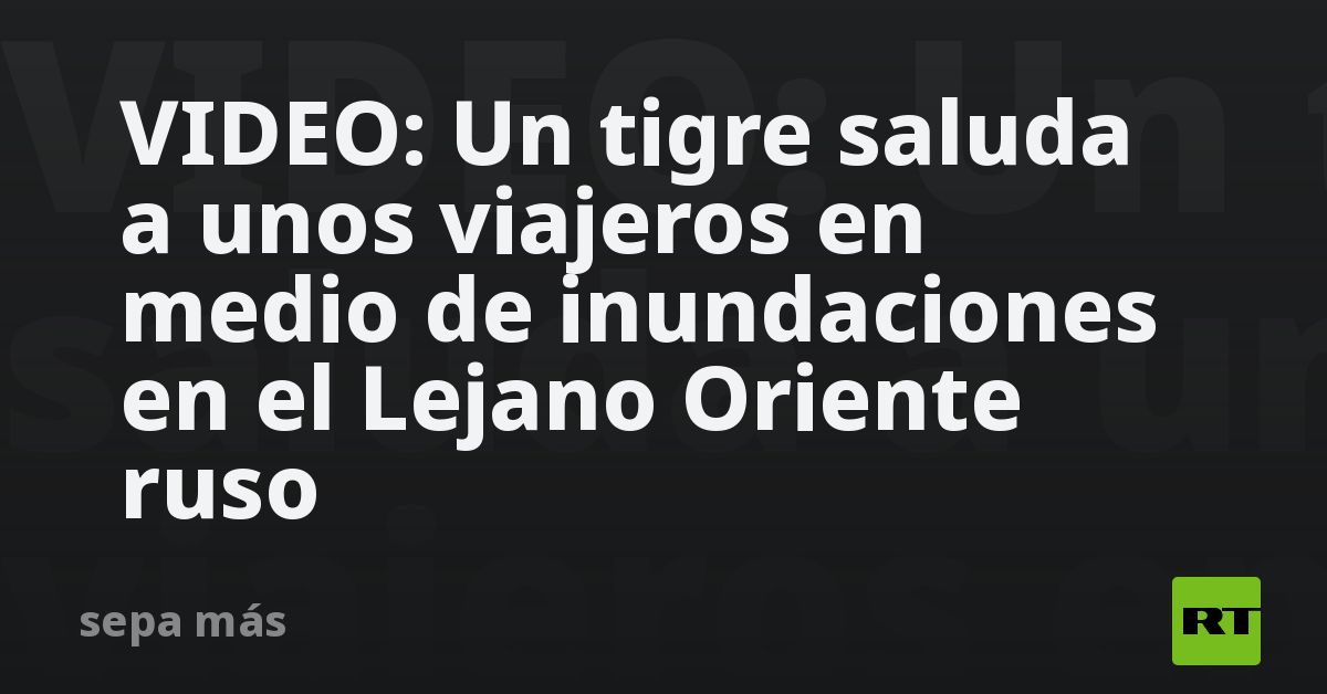VIDEO: Un tigre saluda a unos viajeros en medio de inundaciones en el ...