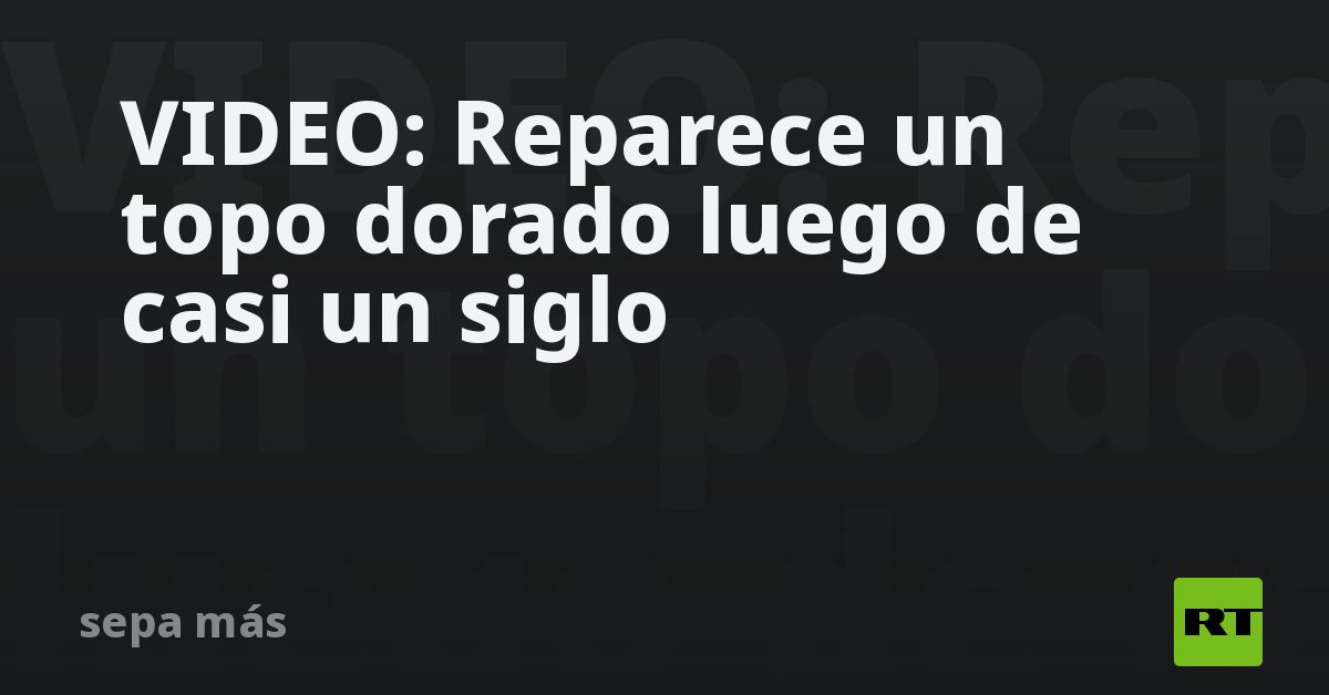 VIDEO: Reparece un topo dorado luego de casi un siglo - RT