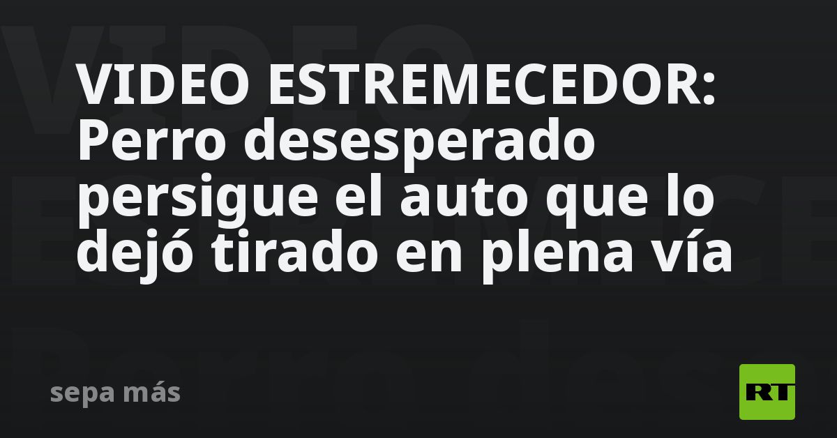 VIDEO ESTREMECEDOR: Perro desesperado persigue el auto que lo dejó ...