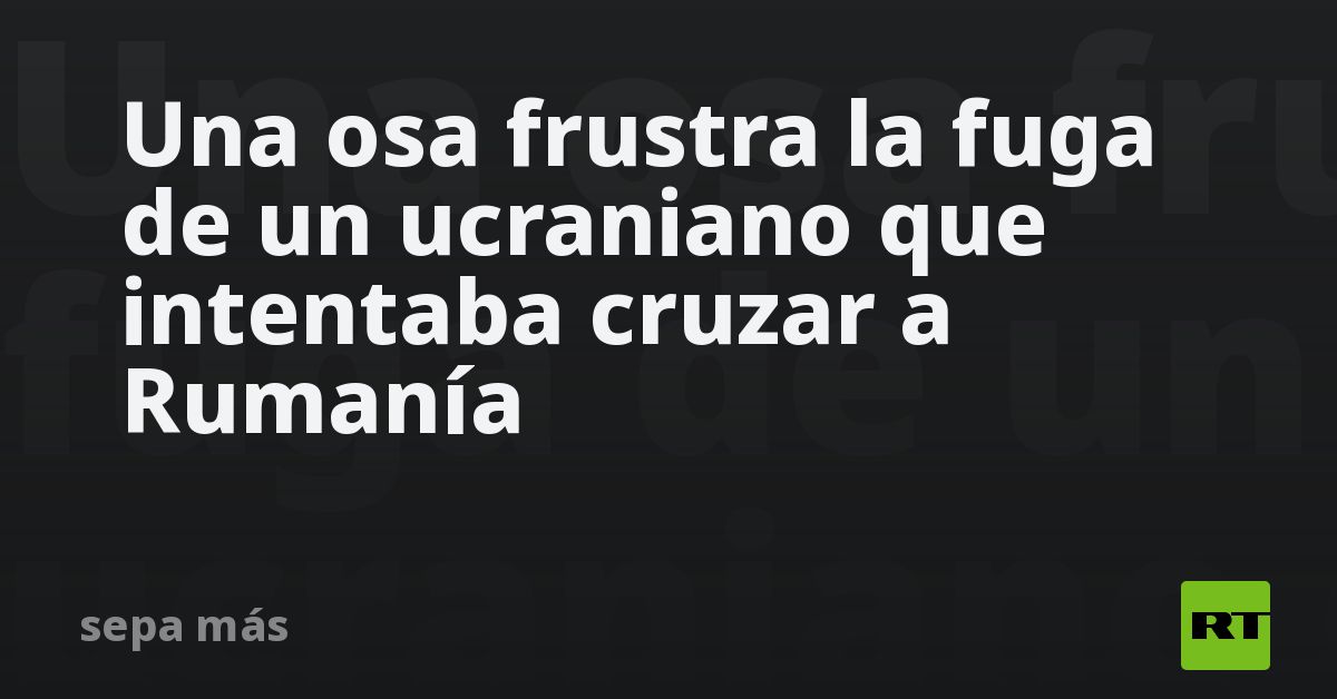 Una osa frustra la fuga de un ucraniano que intentaba cruzar a Rumanía - RT