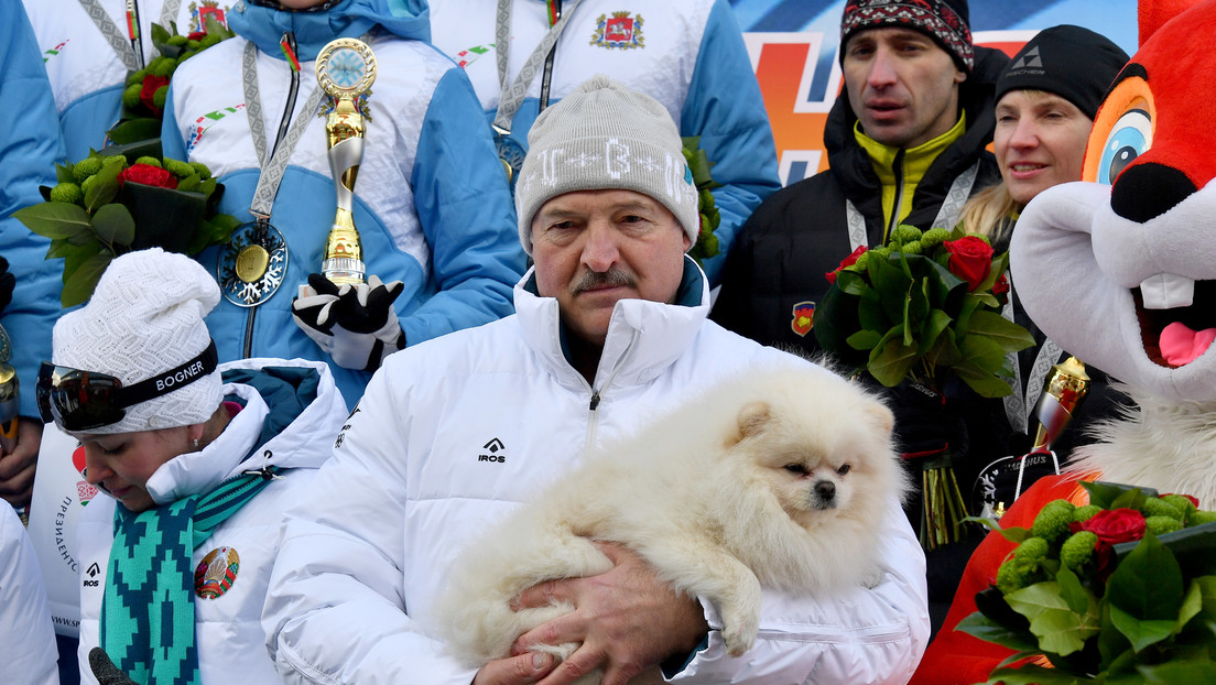 Selenskij: Hund von Lukaschenko genießt mehr Rechte als Weißrussen — RT DE