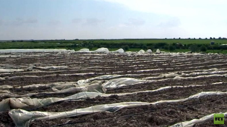 'Catastrophe took place here:' Gaza farmers speak to RT after 'IDF ...