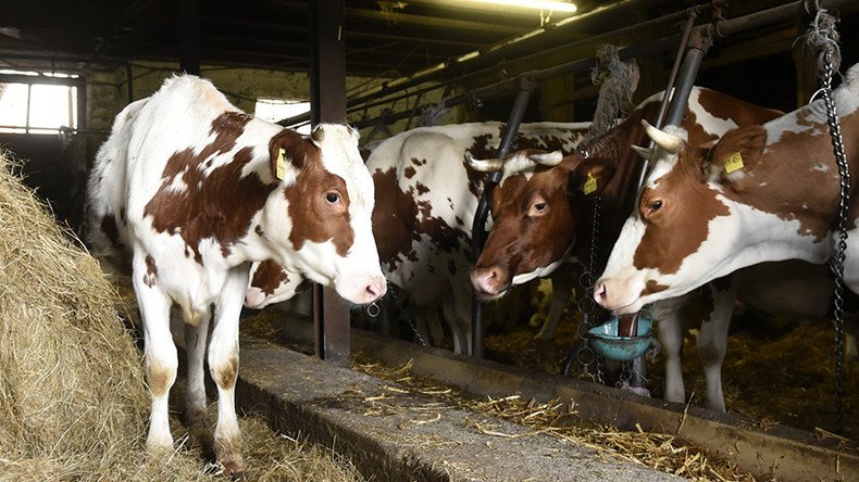 Corporate crime with Russell Mokhiber — RT On contact