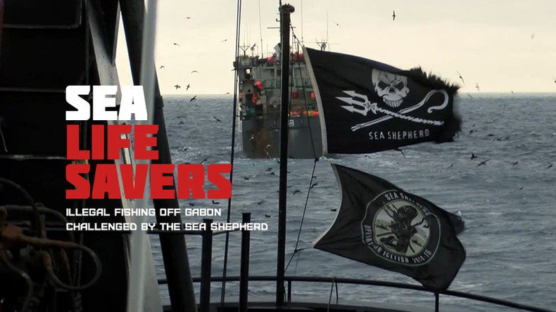 Sea life savers — RT Documentary