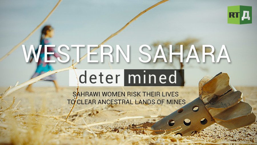 Western Sahara: Determined — RT Documentary