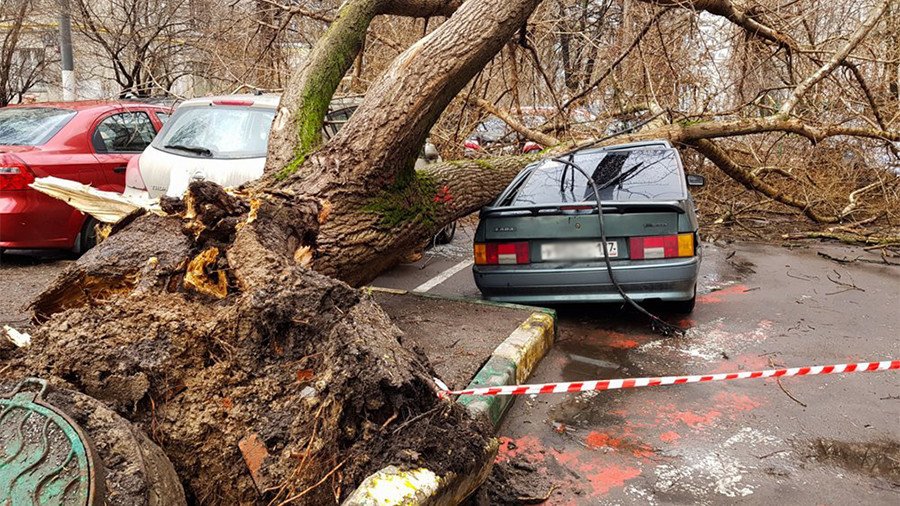 Child killed, 17 injured as fierce storm with strong winds rips through ...