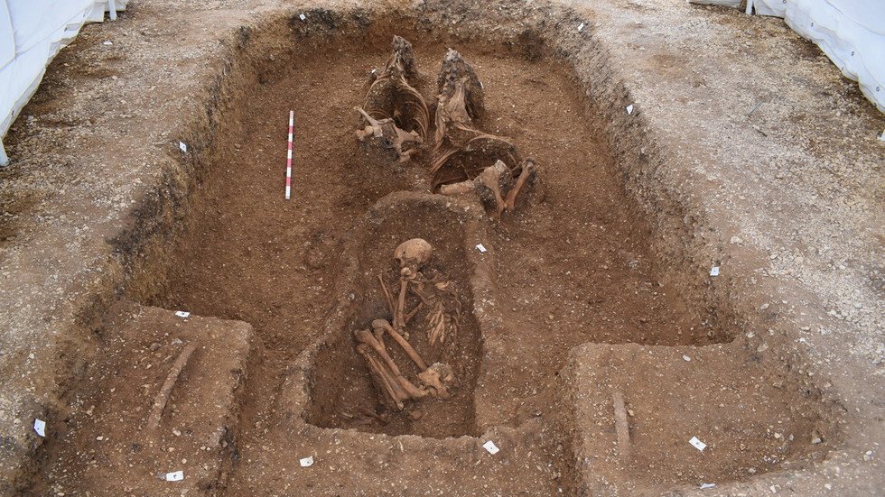 ‘Leaping out of the grave’: Rare Iron Age chariot with horses is an ...