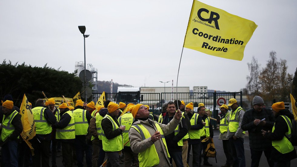 ‘Minimum wage is nuts if you work 70 hours a week’: French farmers ...