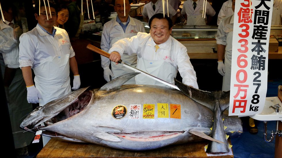 Fish worth 70kg of gold: Sushi king shells out $3.1 million for ‘tasty ...