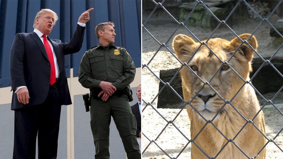 Trump Jr. put on blast for comparing border wall to ZOO FENCE — RT USA News