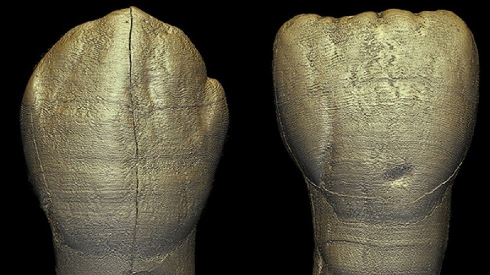 Mysterious skull of primitive child reveals strange modern human-like ...