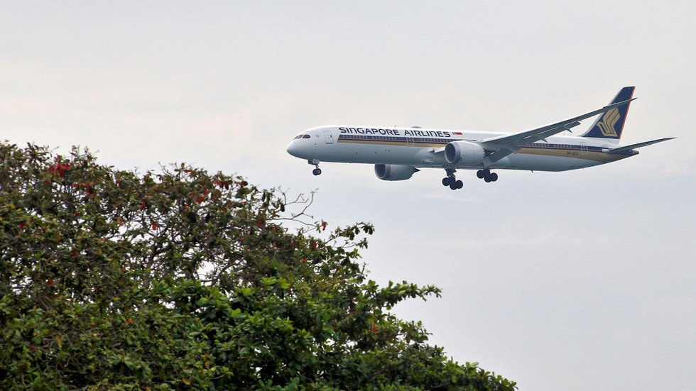 Singapore Airlines grounds part of Boeing 787 Dreamliner fleet due to ...
