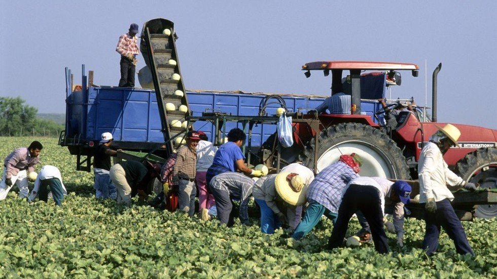 Money sent by migrants to their homelands exceeds $500 billion – World ...