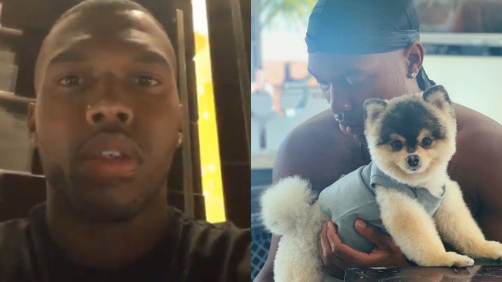 Dog gone: Desperate Premier League striker Sturridge pledges $40k to ...