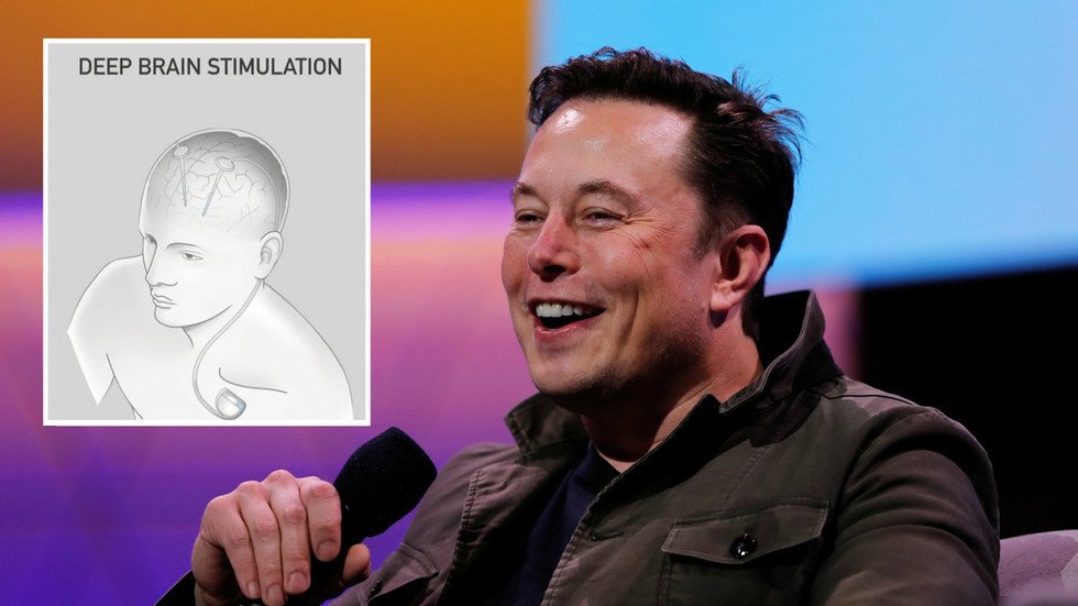 ‘Monkey controlled computer with his brain’: Musk reveals brain-reading ...