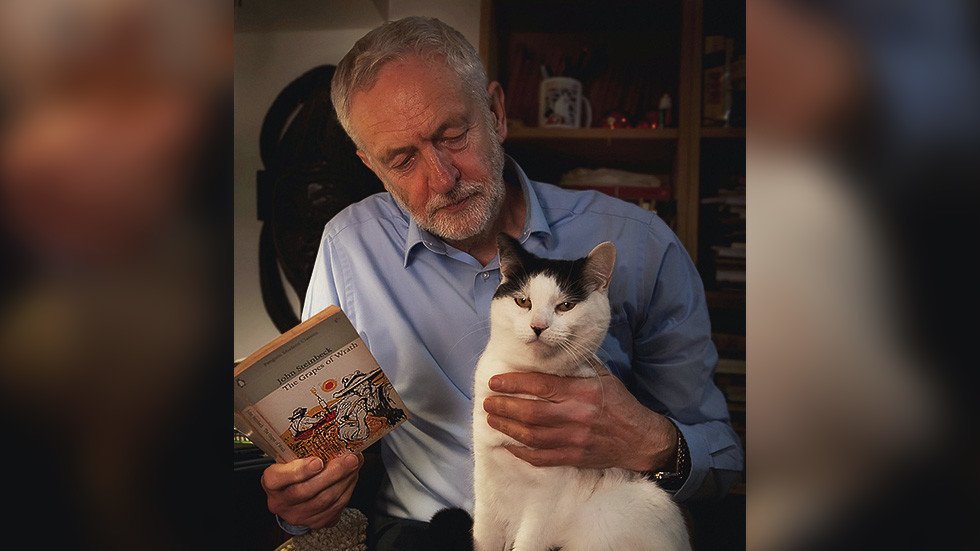 Corbyn posts photo with beloved cat ‘El Gato’ to mark # ...