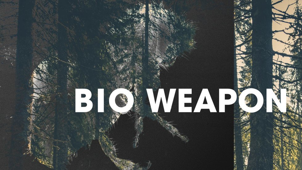 How a 'biological weapon' can save forests in Siberia & North America ...