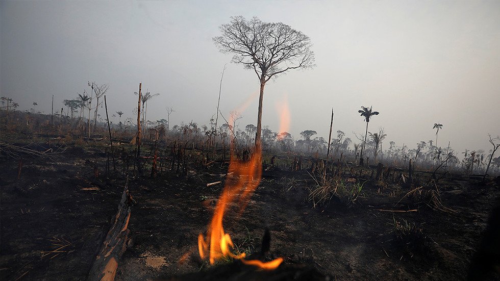 Wildfires scorch Africa but world’s media stay focused on Brazil’s ...