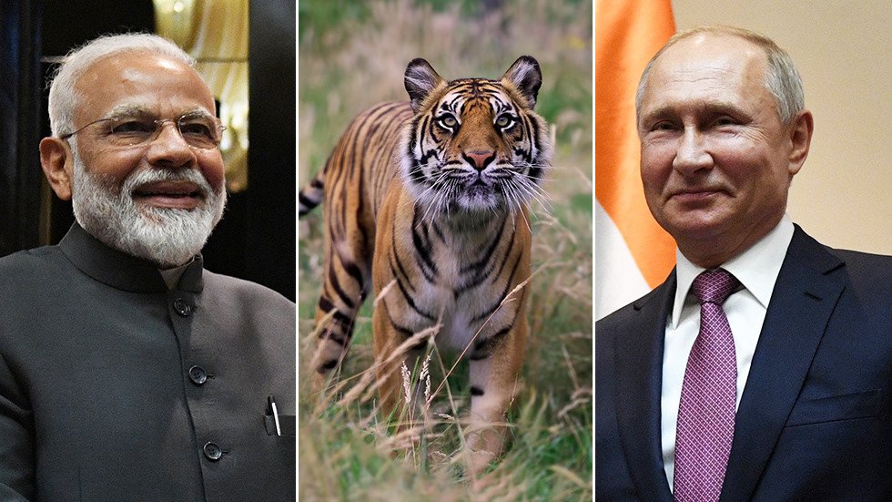 ‘We share love for tigers’: Modi boasts of ‘special chemistry’ with ...