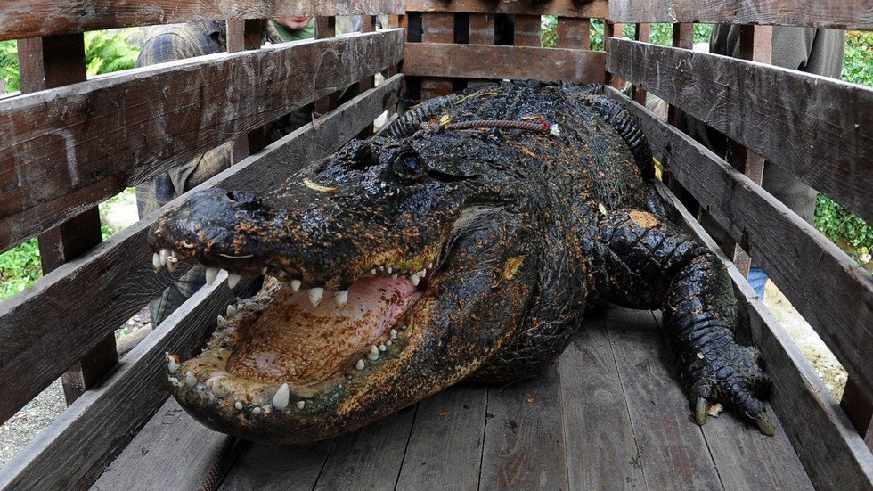 Fake is too mild, new word for media is corrupt, says Trump, lashing ...