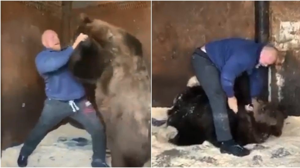 Russian MMA heavyweight Maxim 'Mad Max' Novoselov takes on huge bear ...