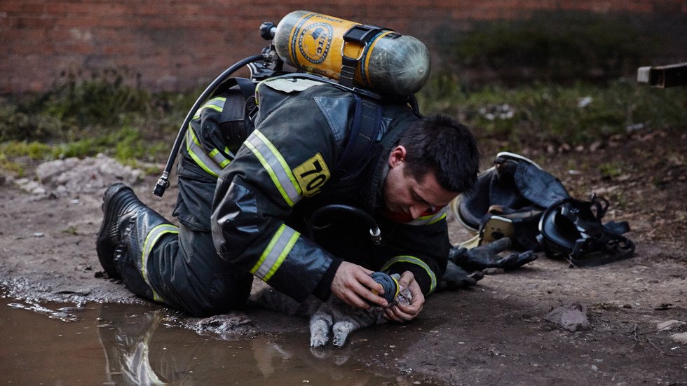No-one left behind: Firefighter gives oxygen to CAT to bring it back ...