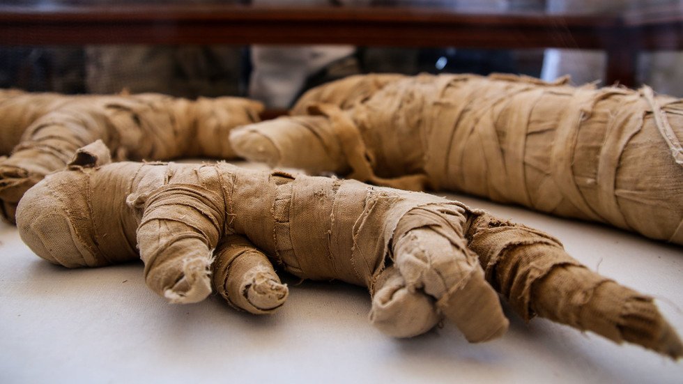 Mummified lions, crocs and birds found in ancient Egyptian burial ...