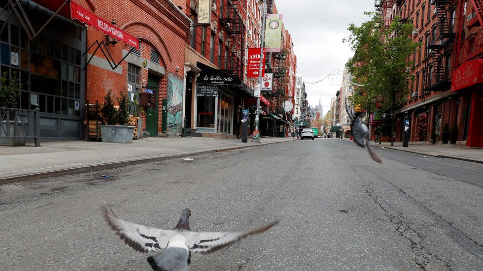Lockdown’s silver lining? NYC marks record-breaking 58 straight days ...