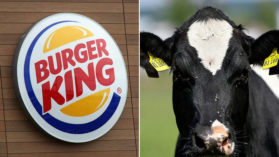 ‘Virtue-signaling’ Burger King blasted for promising to fight climate ...