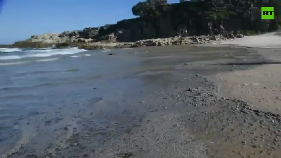 Manhattan-sized island of floating volcanic rock completes 3,000-km ...