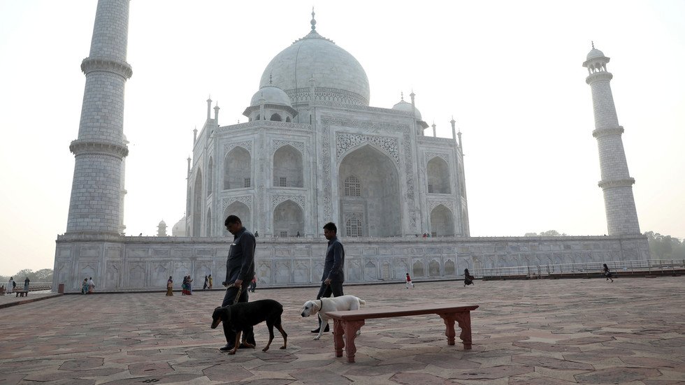 Indian dogs are majestic: PM Modi hails heroic explosive-sniffers ...