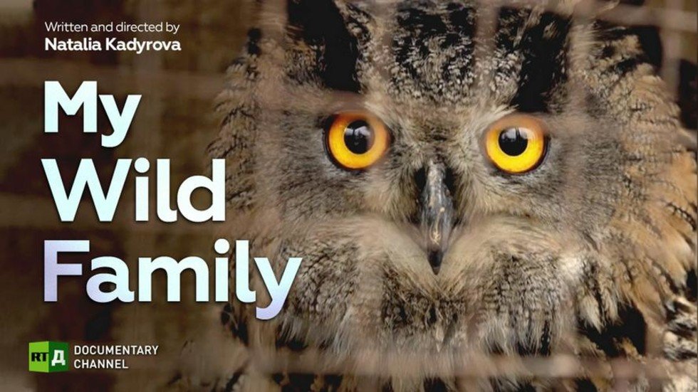 My Wild Family — RT Documentary