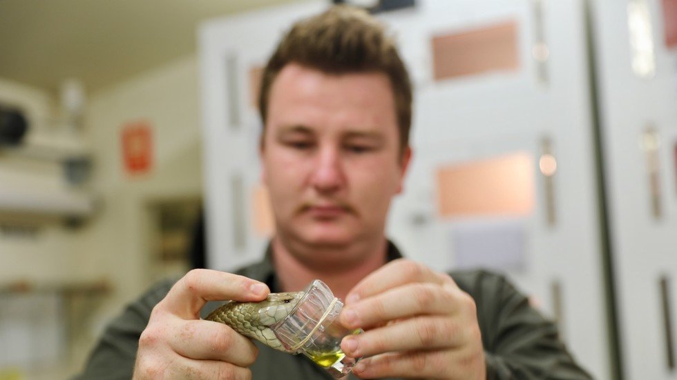 Humans possess genetic blueprints to produce venom, study suggests — RT ...