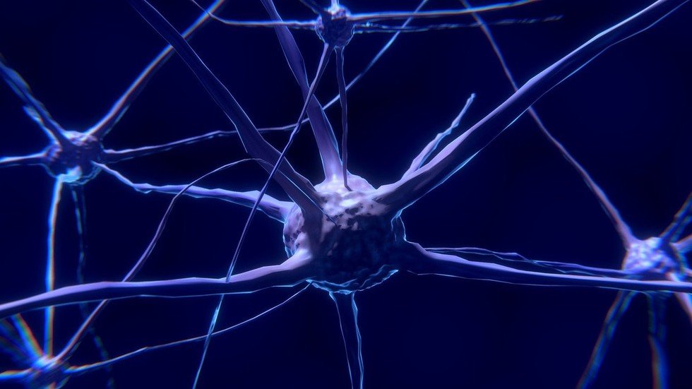 Scientists discover node in brain closely linked to dysfunctional ...