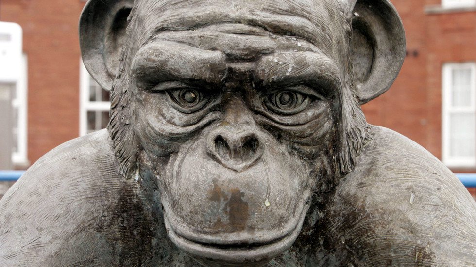 Hartlepool are ‘explaining’ a monkey statue in case anyone gets ...