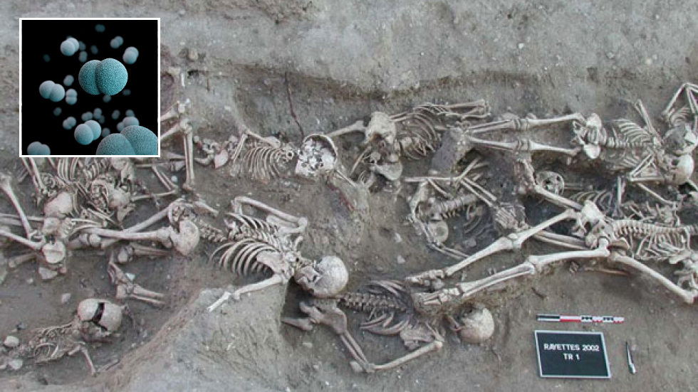 Scientists unearth '5,000 year old PLAGUE BACTERIA' that caused Black ...