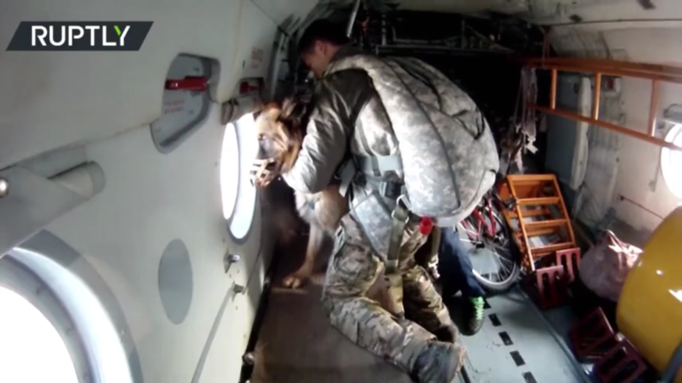 Prepare for a ruff landing! Russia tests dog parachutes as country ...