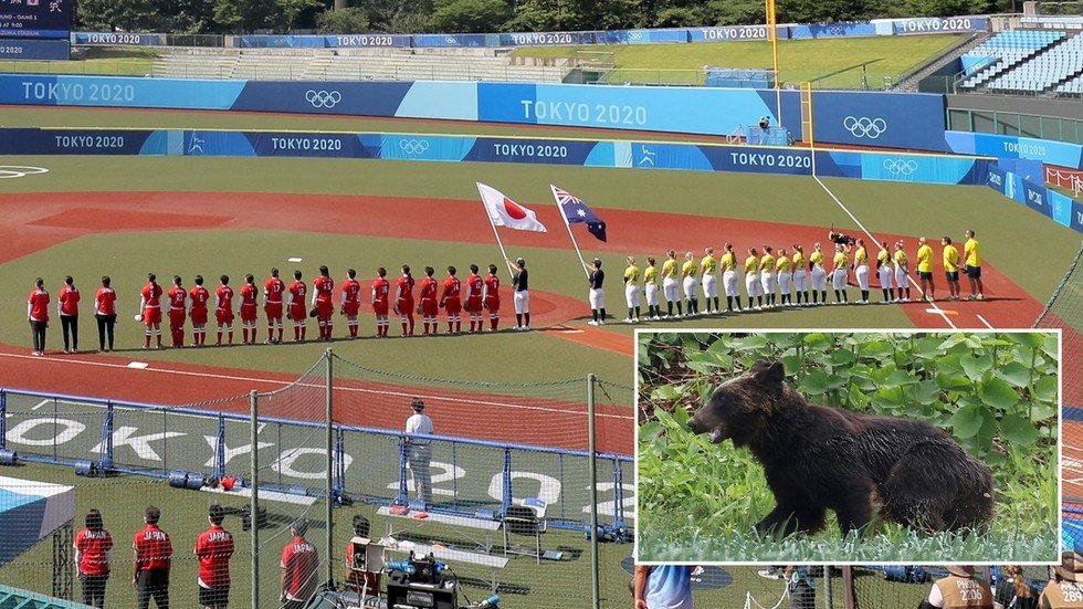 Bear with us: Olympic security ‘on alert’ as brown bear spotted ‘on the ...