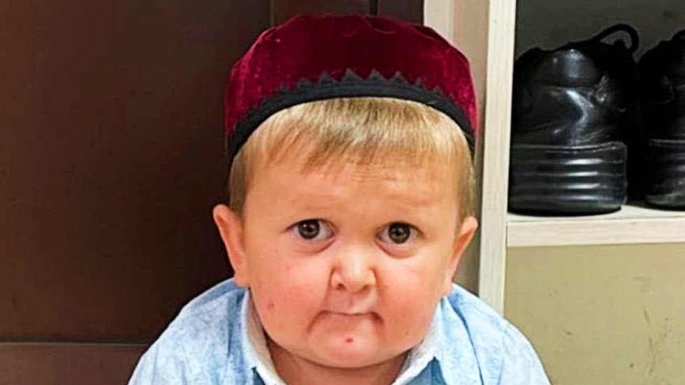 Exactly how famous is Hasbulla, the viral sensation Khabib says will be ...