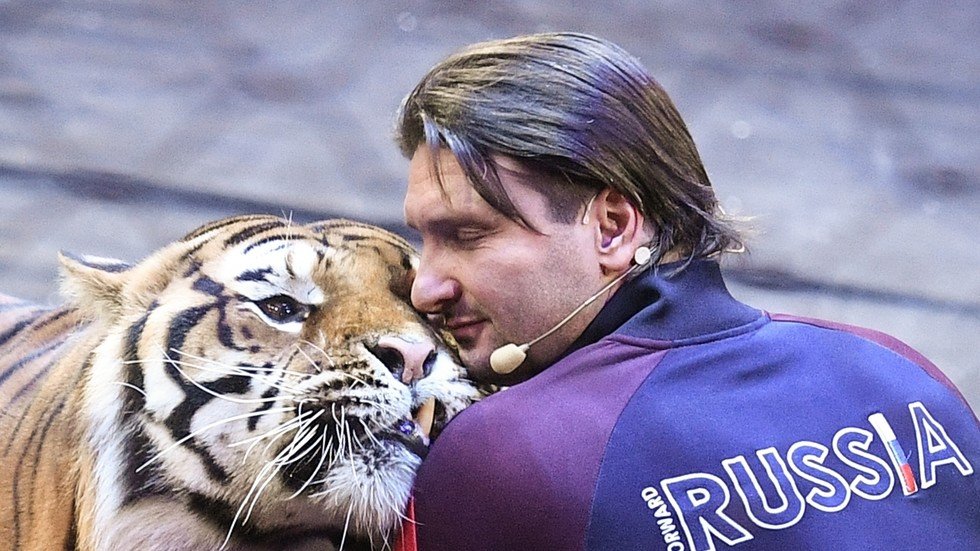 Moscow’s fat cats hire tigers for New Year bashes — RT Russia & Former ...