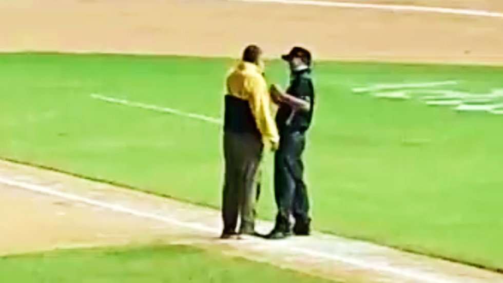 Baseball umpire axed after abusing fans, being hauled off field (VIDEO ...