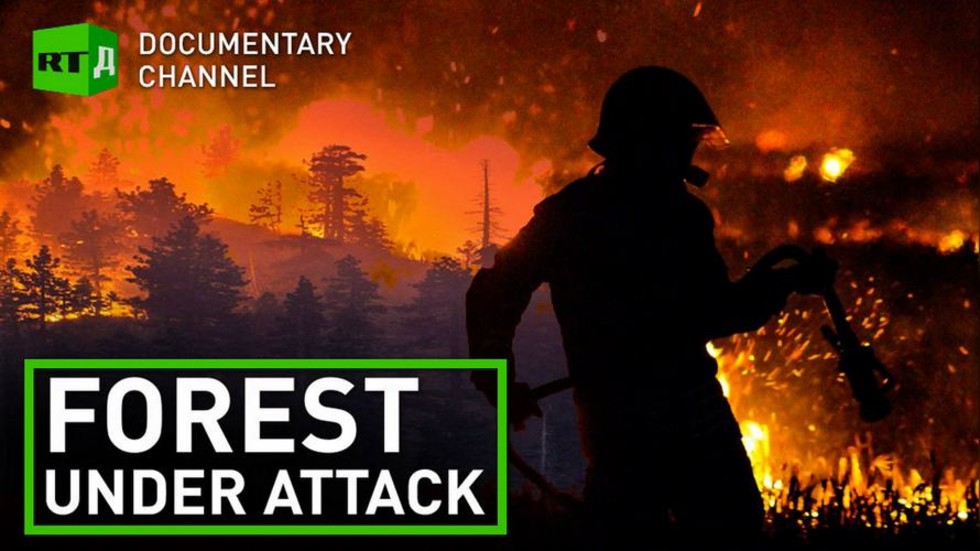 Forest Under Attack — RT Documentary