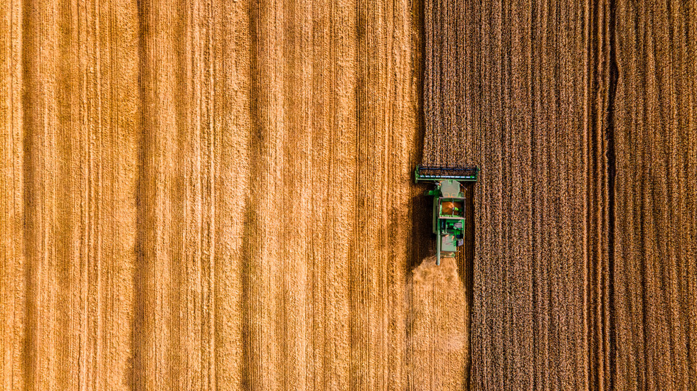 Russian grain union wants to switch export payments to rubles — RT ...